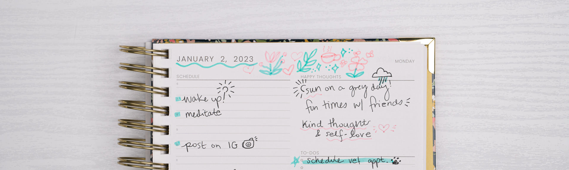 Daily Planner - Blush – Dayla Studio